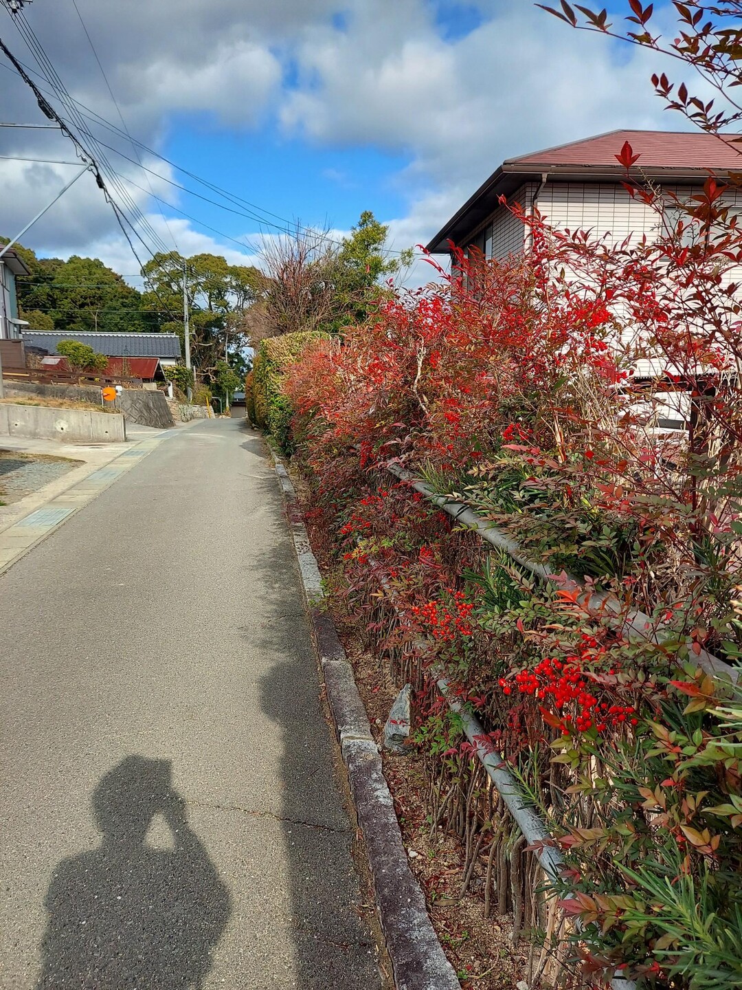 R6年初🗻歩きin右田ヶ岳 / ｴｯﾁｬﾝさんの右田ヶ岳・西目山・楞厳寺山の活動日記へのコメント一覧 | YAMAP / ヤマップ