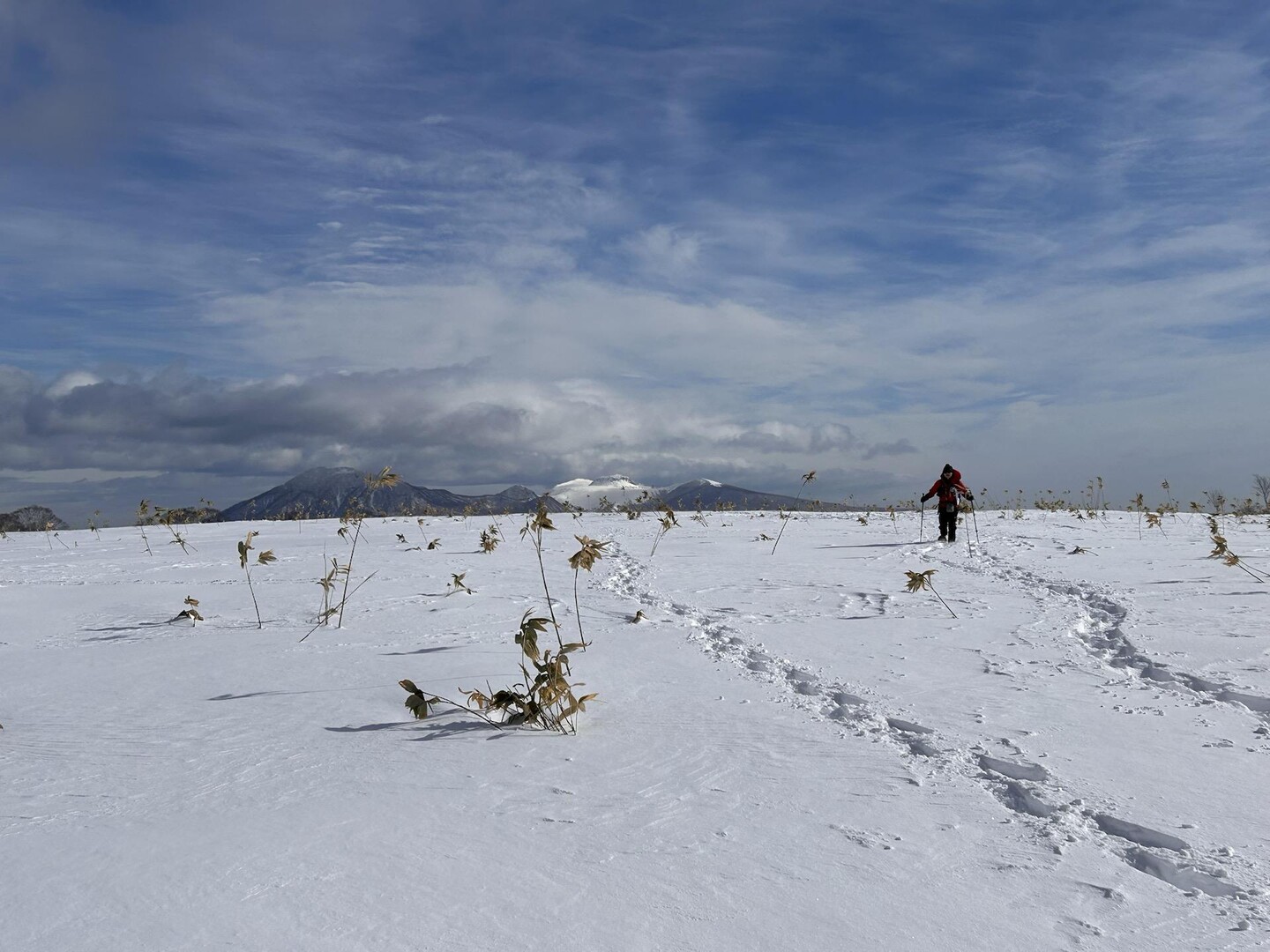 能宇延平 / akorenaさんの白老岳の活動データ | YAMAP / ヤマップ
