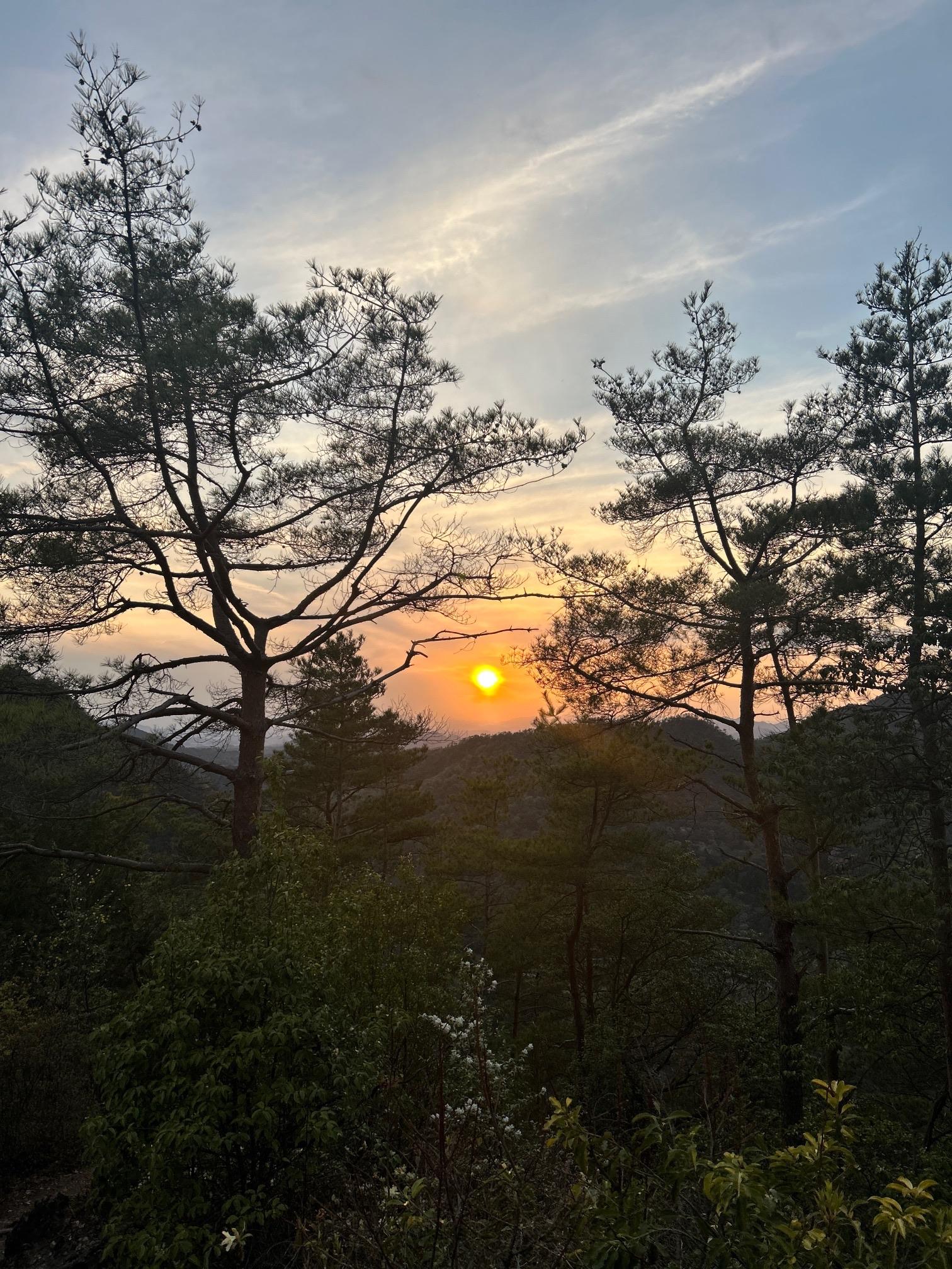 富士山 sunset / ykjkykさんのみのかも健康の森の活動データ | YAMAP / ヤマップ