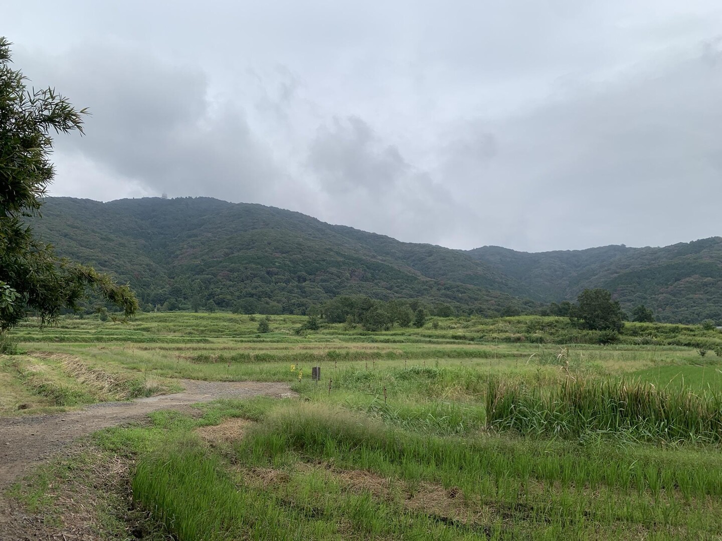 宝筐山 / R_tarouさんの宝篋山・富岡山の活動データ | YAMAP / ヤマップ
