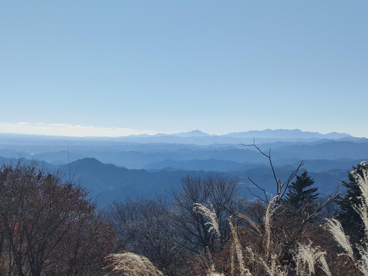 関八州見晴台・顔振峠 / 山歩 JKさんの関八州見晴台の活動データ | YAMAP / ヤマップ