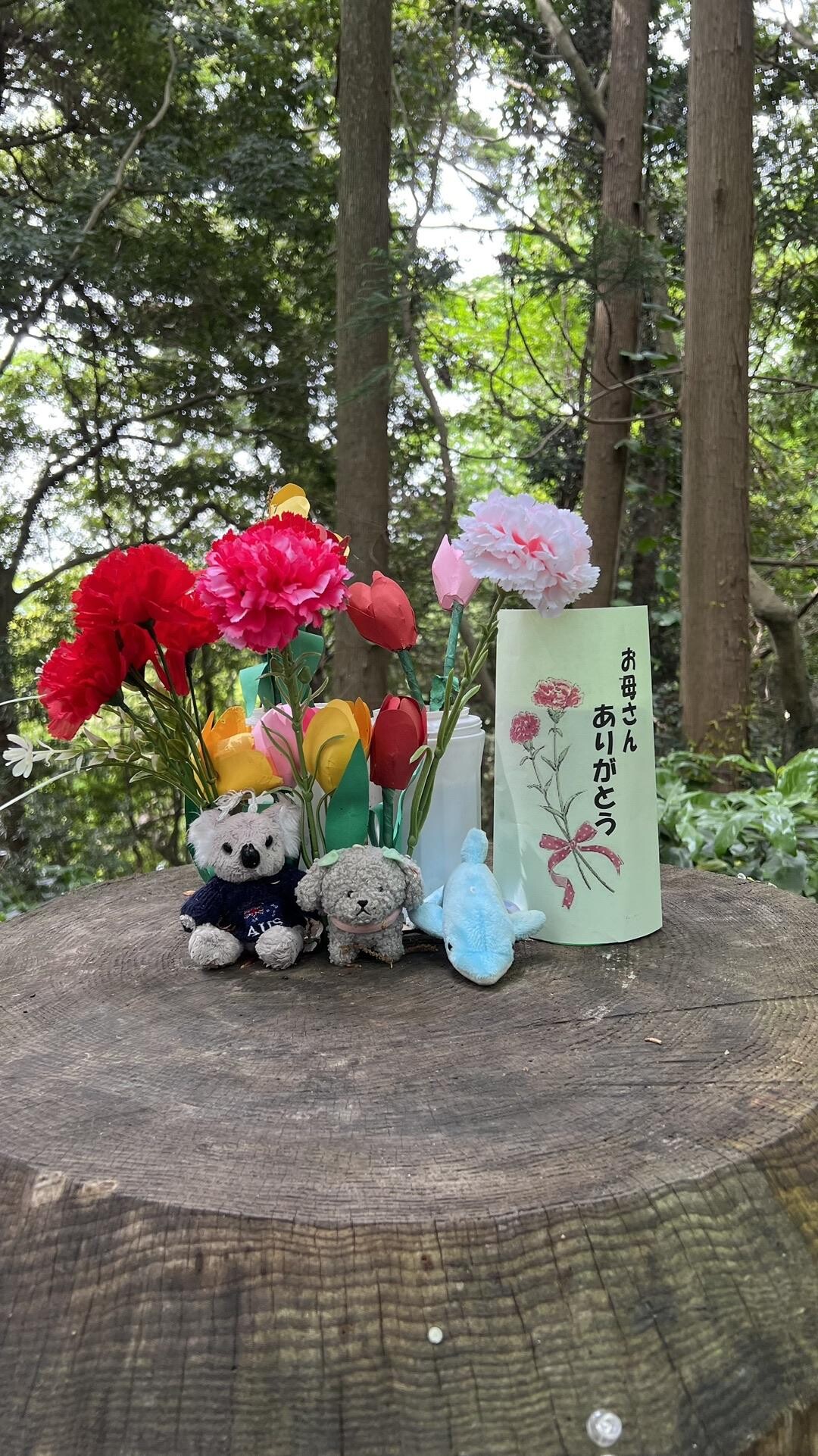 花の高尾山・南高尾 / hanさんの高尾山・陣馬山・景信山の活動データ | YAMAP / ヤマップ