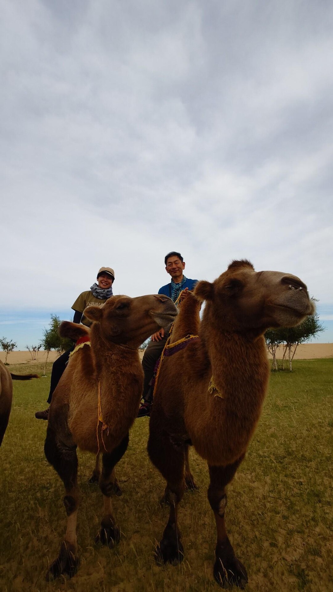 ラクダップ🐪 / ta2さんのウォーキングの活動データ | YAMAP / ヤマップ