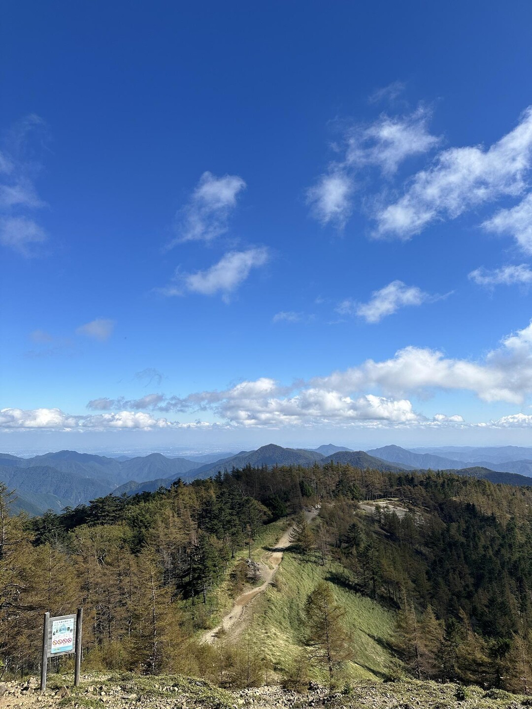 雲取山！小袖登山口 / szkさんの雲取山・鷹ノ巣山・七ツ石山の活動データ | YAMAP / ヤマップ