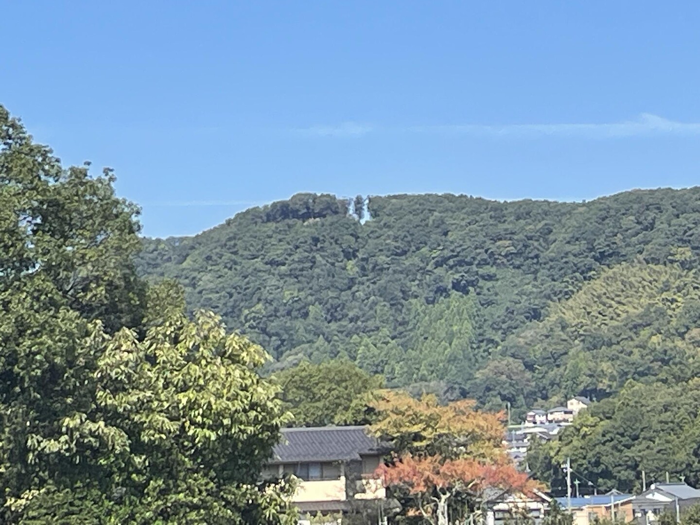 秋🍂のお気に入り城山へ〜RUN🏃🏻‍ ️山歩き🚶🏽‍ ️RUN🏃🏻‍ ️〜 / BMさんの城山・経ヶ岳・天神山の活動データ | YAMAP / ヤマップ