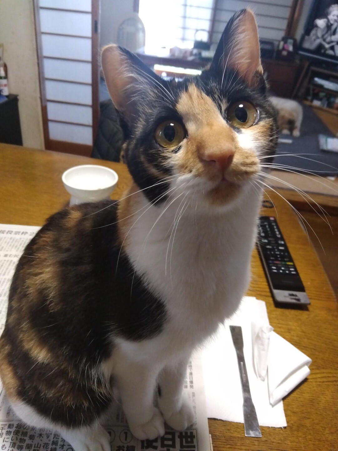 Hiのページ | YAMAP / ヤマップ