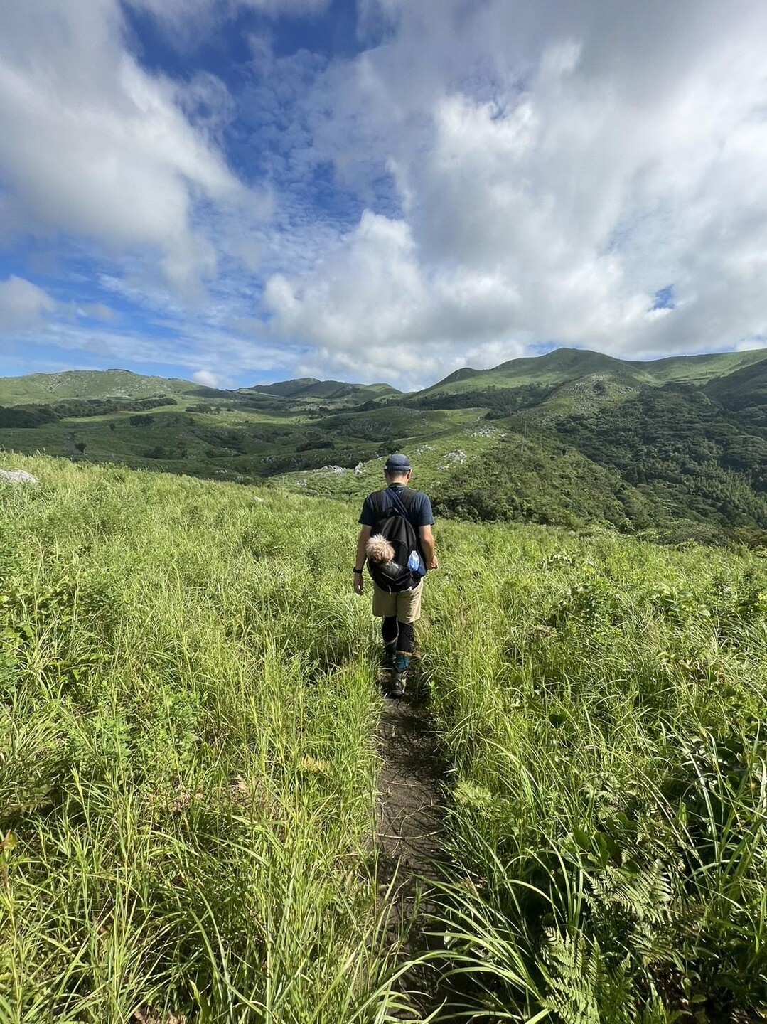 草むらだけど、へっちゃらさ👍 / Seiji517さんの平尾台・貫山・水晶山の活動データ | YAMAP / ヤマップ