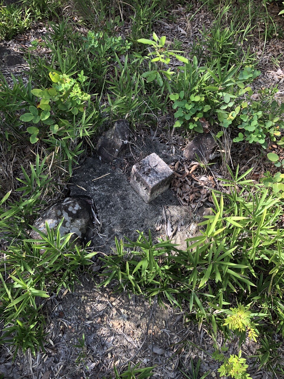 GOSAYのページ | YAMAP / ヤマップ