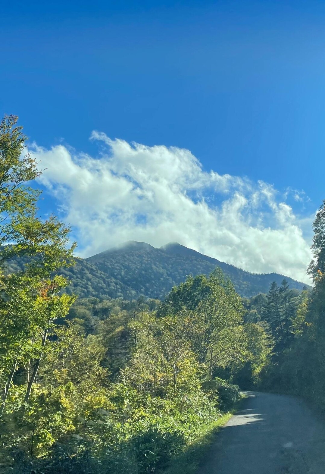 俎嵓・燧ヶ岳（柴安嵓）2024.10 / megさんの尾瀬・燧ヶ岳の活動データ | YAMAP / ヤマップ