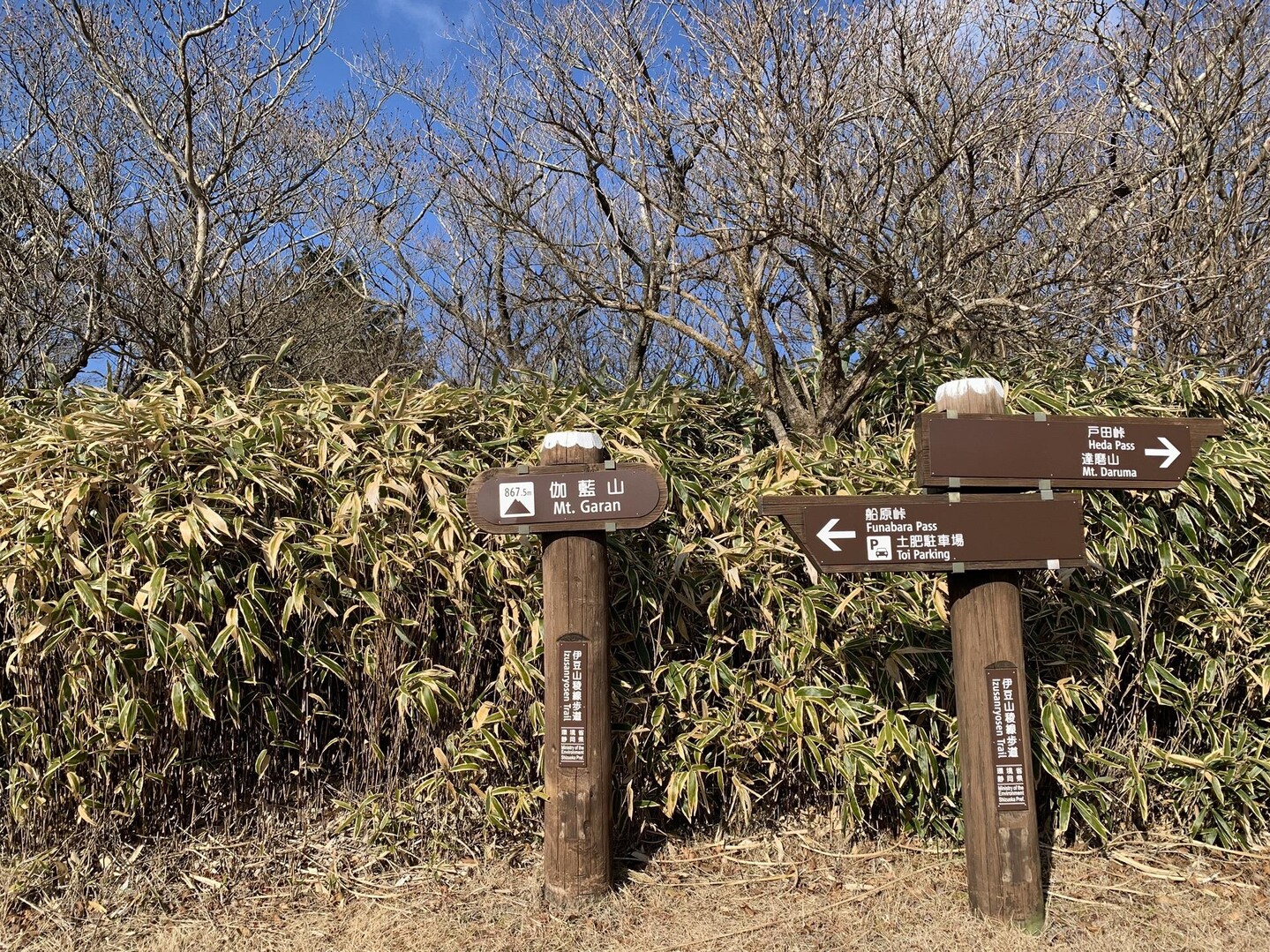 2023登り納め その4 まさかの…伽藍山 / M_Akkyさんの金冠山・達磨山・葛城山の活動データ | YAMAP / ヤマップ