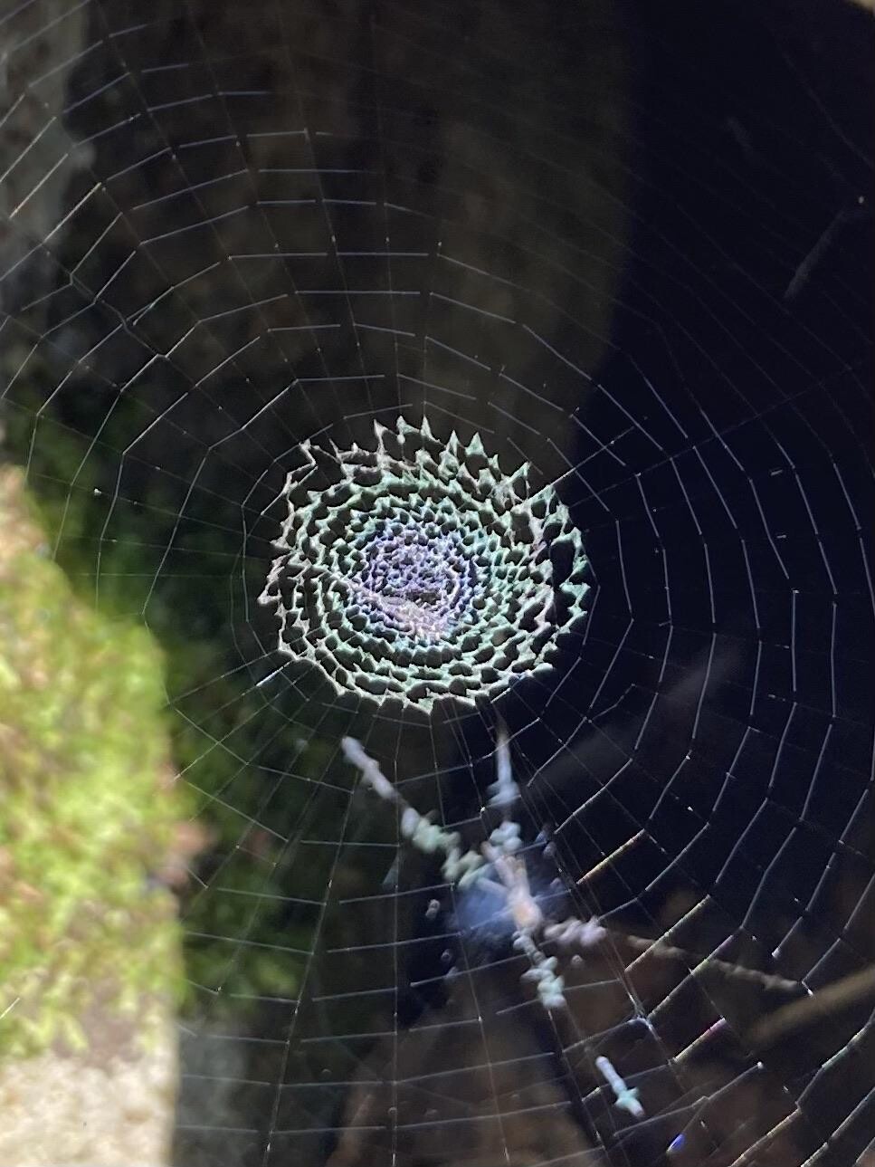 手稲山（平和の滝〜） / yuyu さんのウォーキングの活動データ | YAMAP / ヤマップ