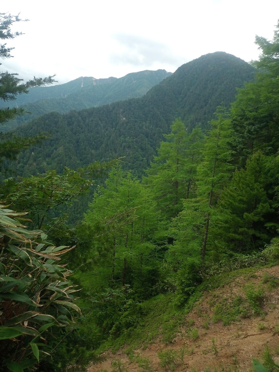 blue_39さんの投稿したフィールドメモ | YAMAP / ヤマップ