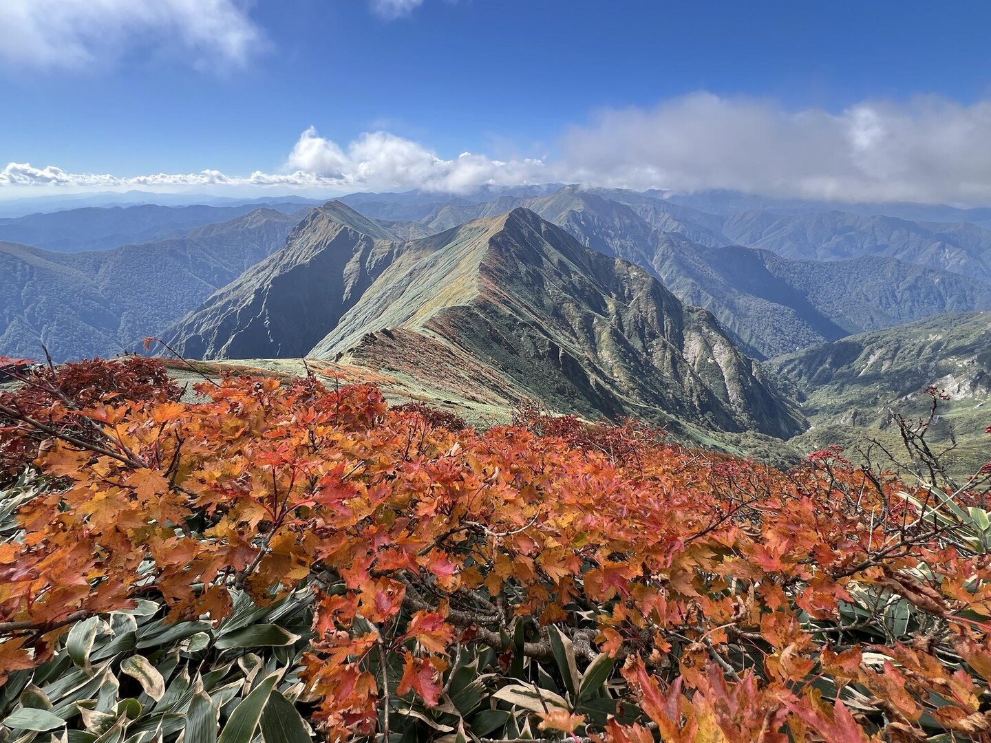 谷川岳（天神尾根コース） / Fisherマンさんの谷川岳・七ツ小屋山・大源太山の活動データ | YAMAP / ヤマップ