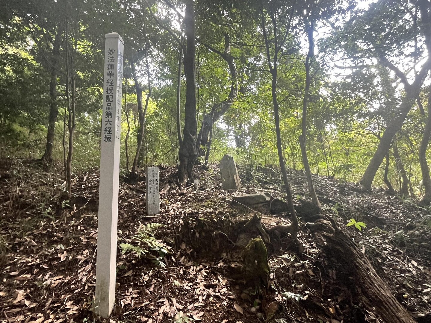 e nakaさんの投稿したフィールドメモ | YAMAP / ヤマップ