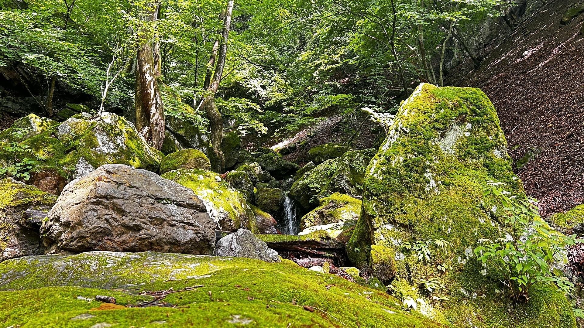両神山 / NORIHIROさんの両神山・諏訪山・二子山の活動データ | YAMAP / ヤマップ