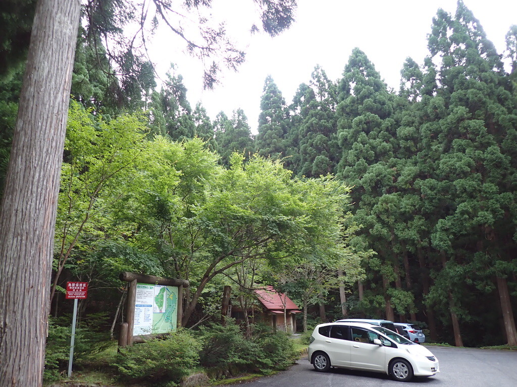 沖ノ山・若杉原生林（若杉天然林） 2022 07 30 Bobbyさんの沖ノ山・若杉原生林（若杉天然林）の活動データ Yamap ヤマップ
