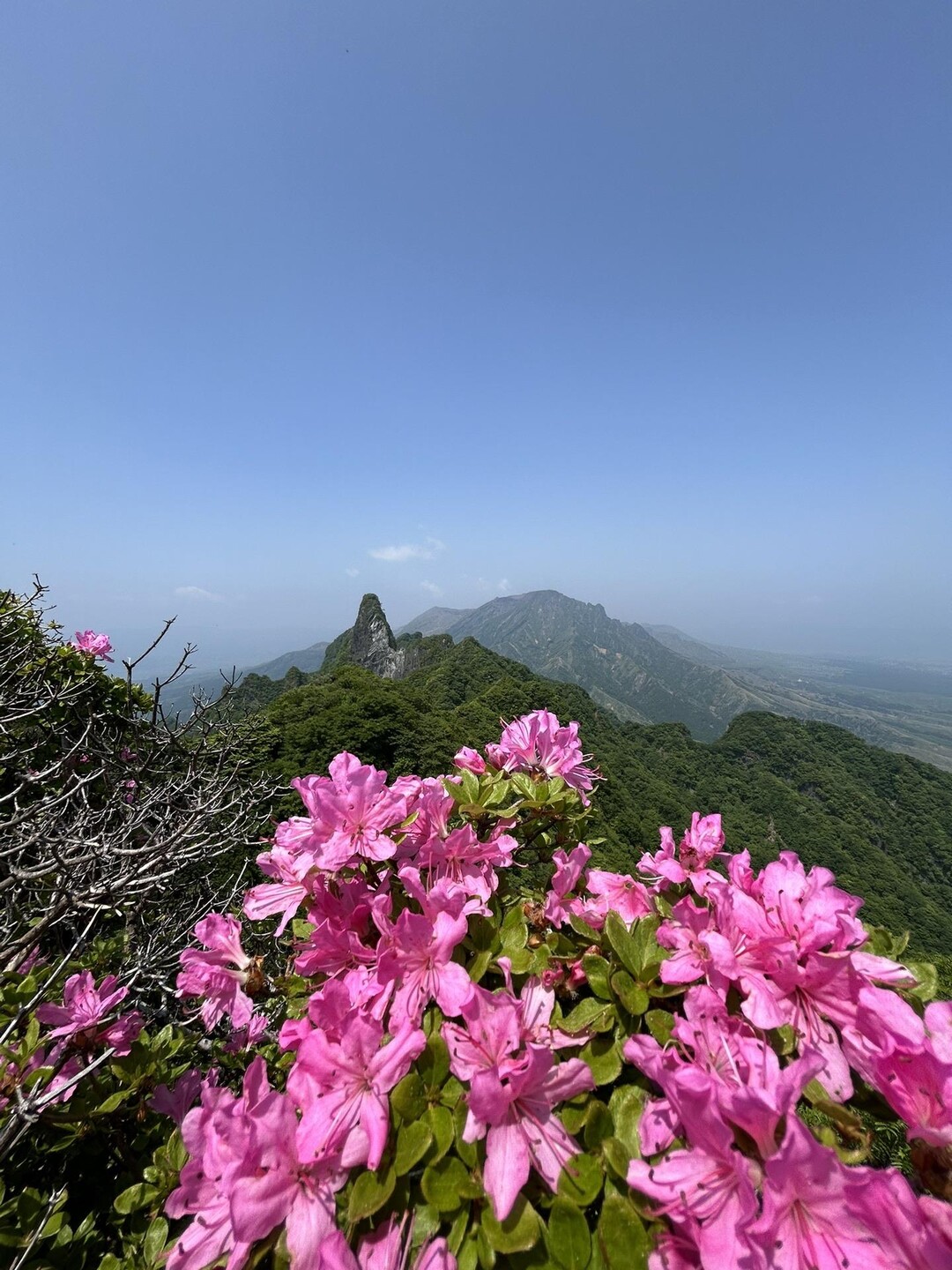 ﾐﾔﾏｷﾘｼﾏ🌸阿蘇 根子岳(東峰) / ryu_ich1さんの阿蘇山・高岳・根子岳の活動データ | YAMAP / ヤマップ