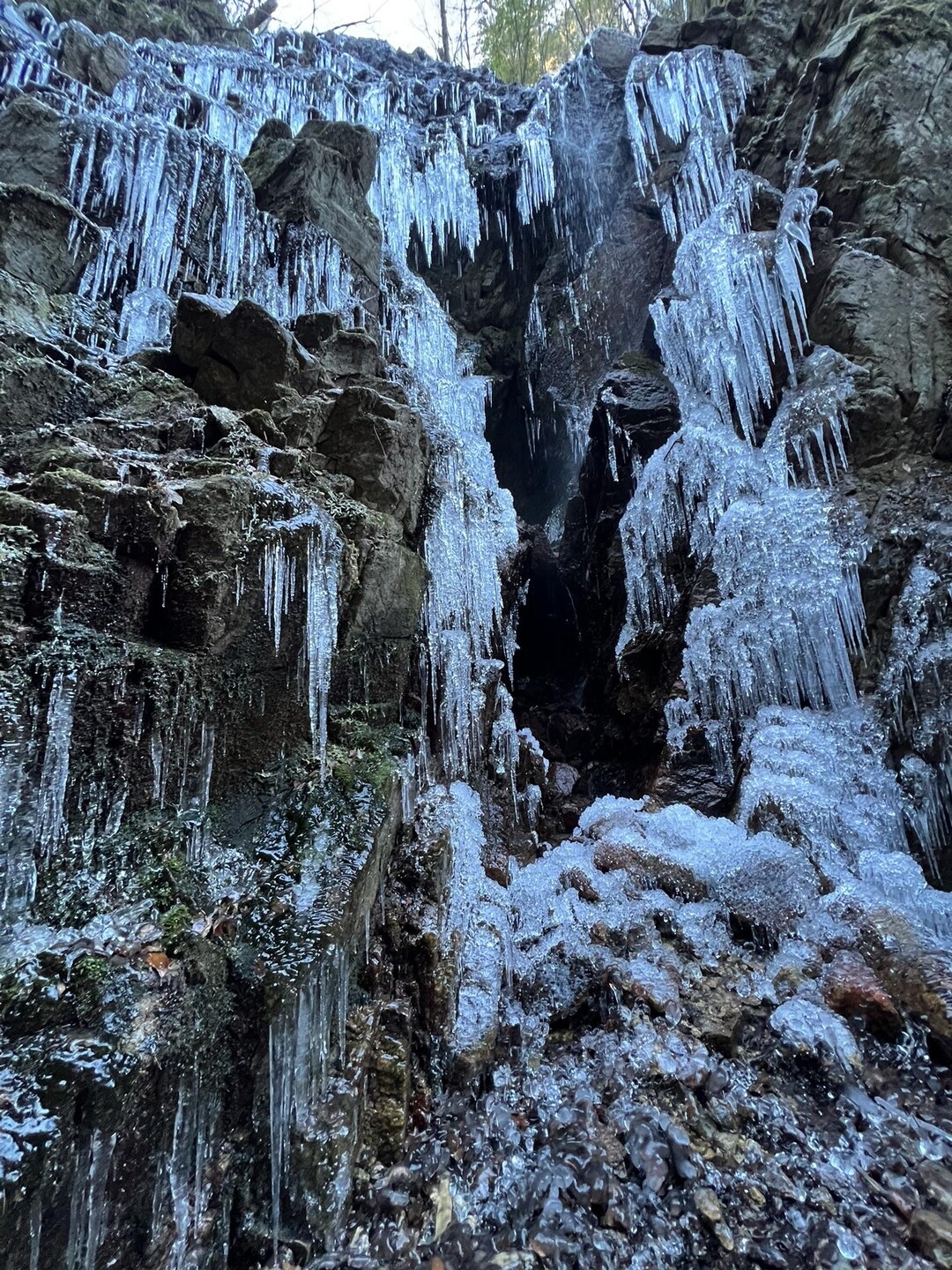 六甲山・長峰山・摩耶山-2023-12-23 / やま3さんの六甲山・長峰山・摩耶山の活動データ | YAMAP / ヤマップ