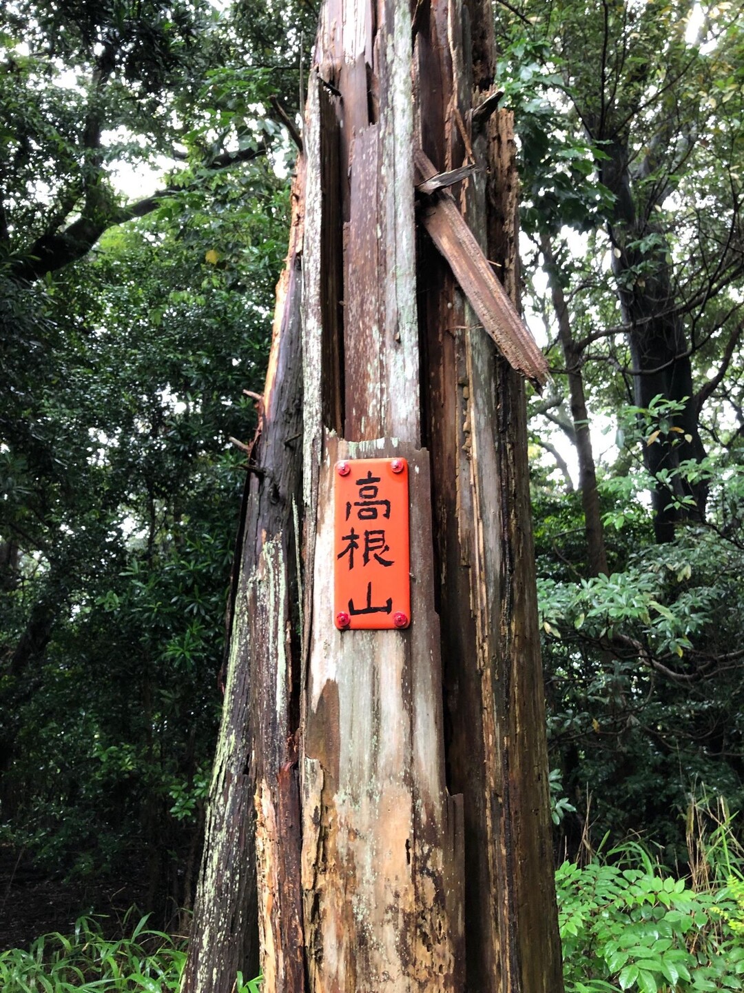 高根山 / Zak-Sanさんの高根山の活動データ | YAMAP / ヤマップ