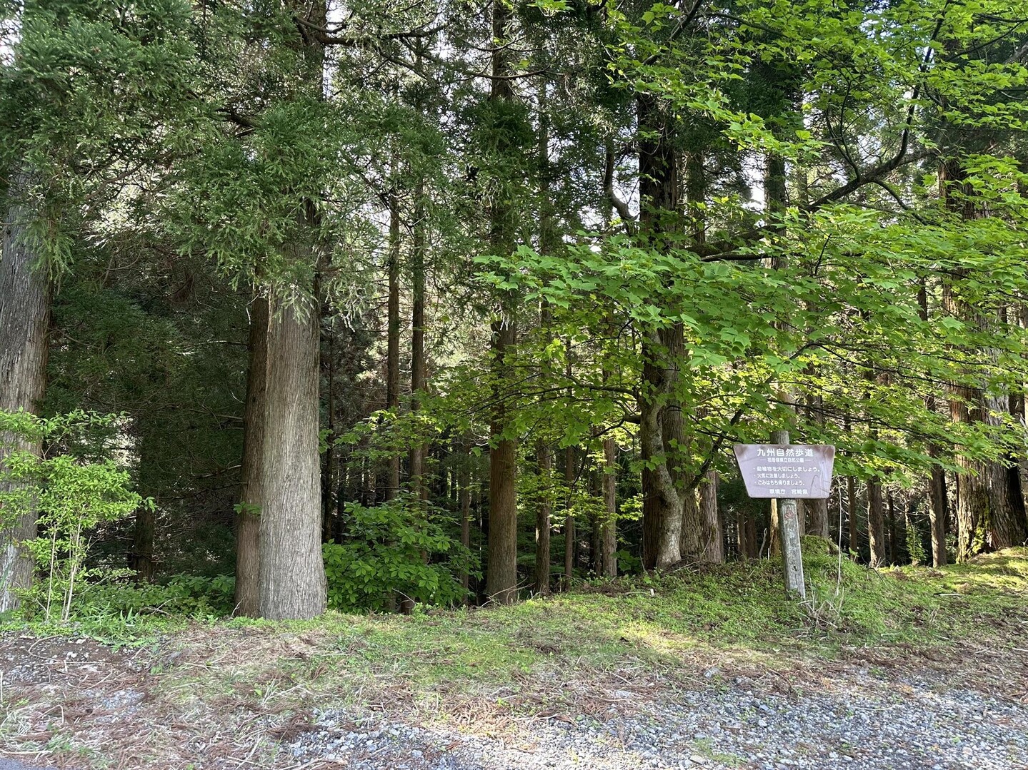 祖母山 / chieさんの祖母山の活動データ | YAMAP / ヤマップ