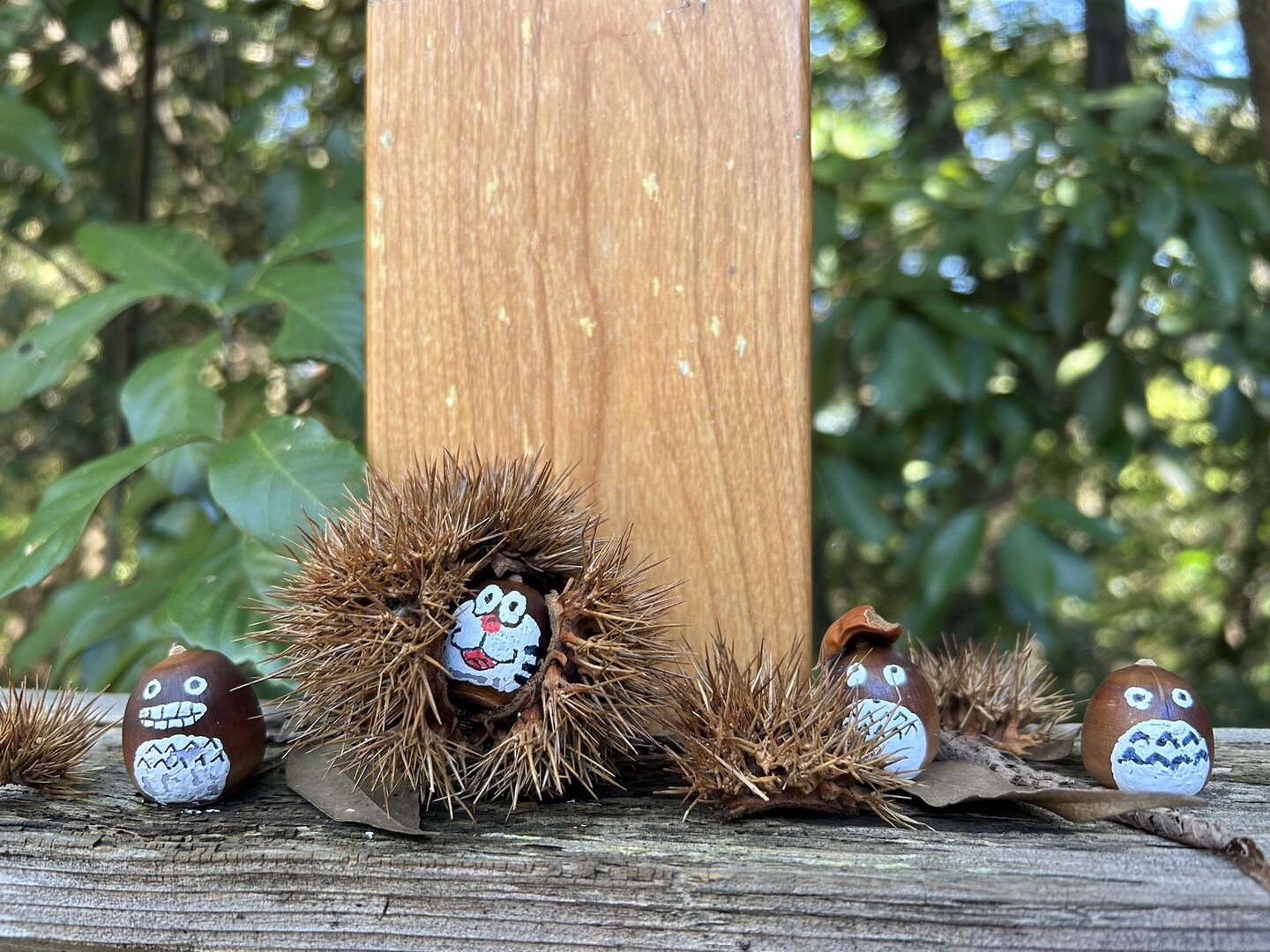 金華山・鷹巣山・岩戸山 / yuriさんの金華山・洞山・舟伏山の活動データ | YAMAP / ヤマップ