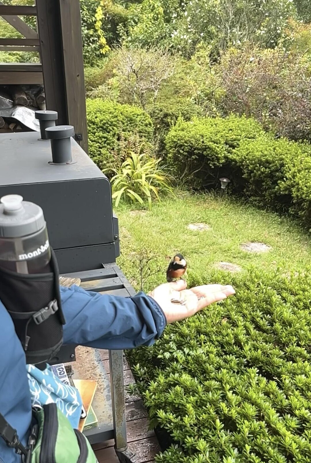 英彦山散歩🚶 / hiyoさんの英彦山の活動データ | YAMAP / ヤマップ