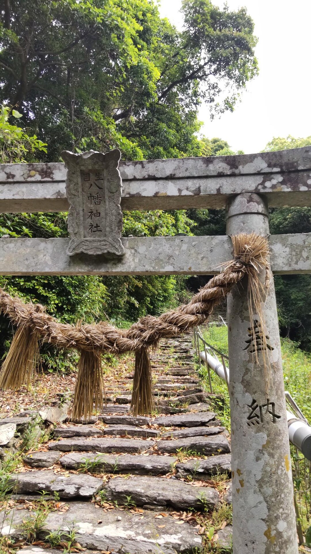 無名の2座＋黒岳・秋葉山など岬道歩き🚶 / issaさんの八郎岳・松尾岳・熊ヶ峰の活動データ | YAMAP / ヤマップ