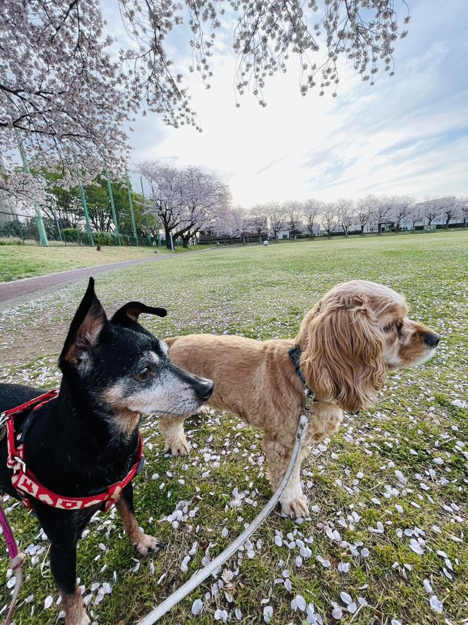 RABU・TENがフォローしているユーザー一覧 | YAMAP / ヤマップ