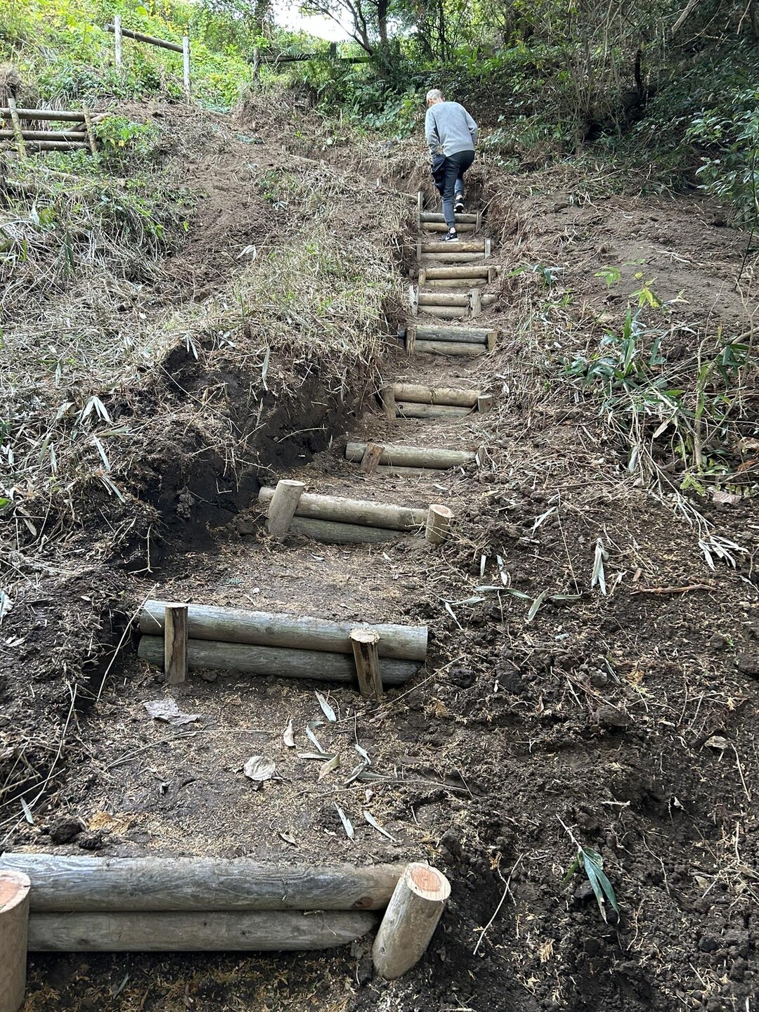 t@ke-bowさんの投稿したフィールドメモ | YAMAP / ヤマップ