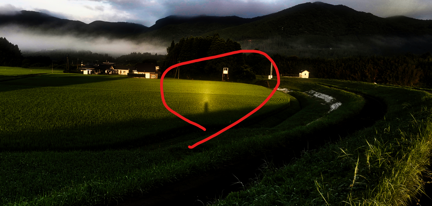 今朝の珍事・・・ブロッケンですよね！？ ... / sin358さんのモーメント | YAMAP / ヤマップ