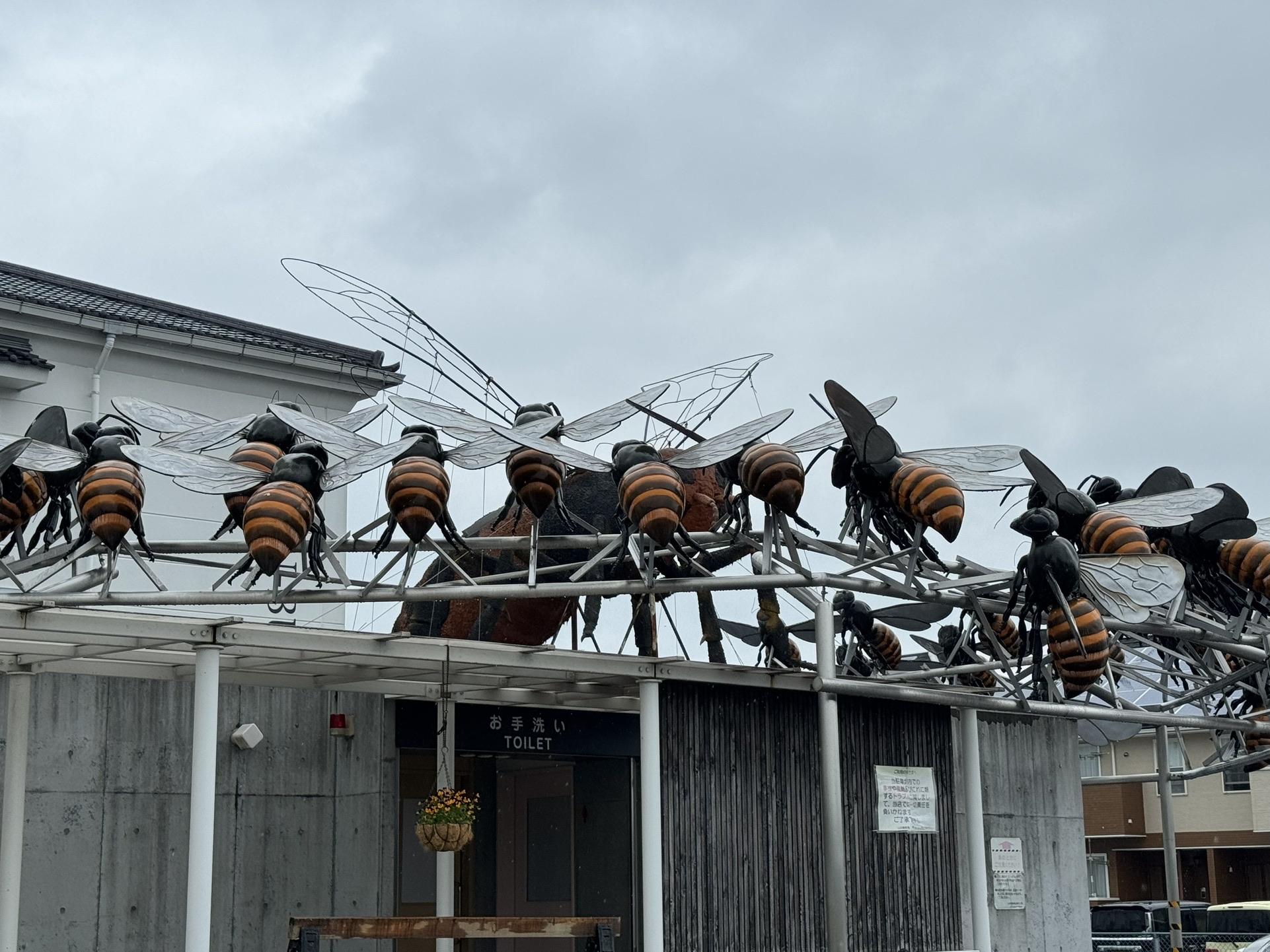 GWのひととき 昨日DAYキャンの予定... / ママにゃんこさんのモーメント | YAMAP / ヤマップ