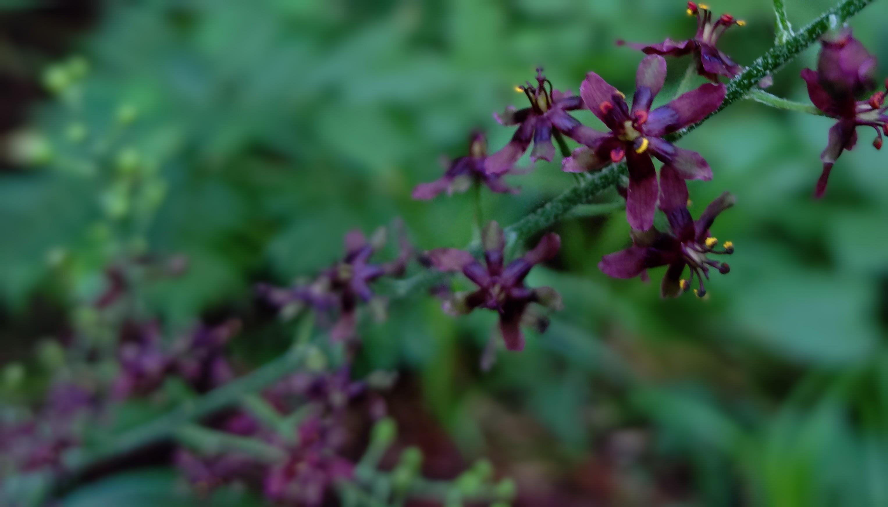 鞍掛山山歩 25-35 wt,5.6kg xero / toshiさんの鞍掛山・後山・三童子山の活動データ | YAMAP / ヤマップ