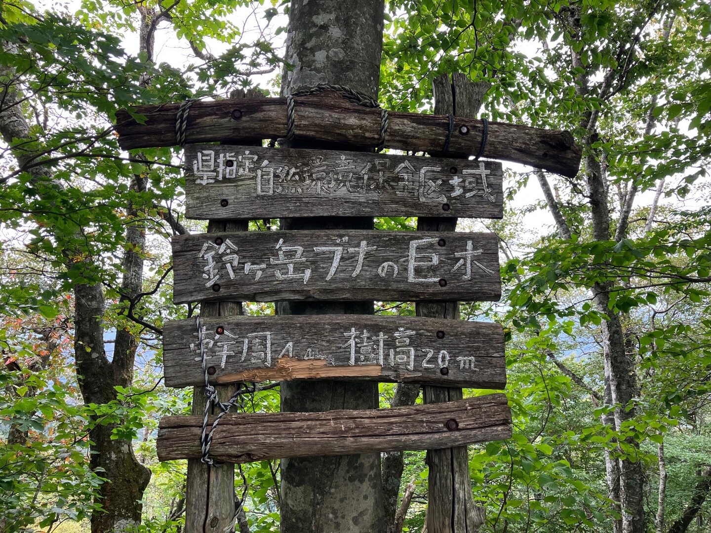 たかしさんの投稿したフィールドメモ | YAMAP / ヤマップ