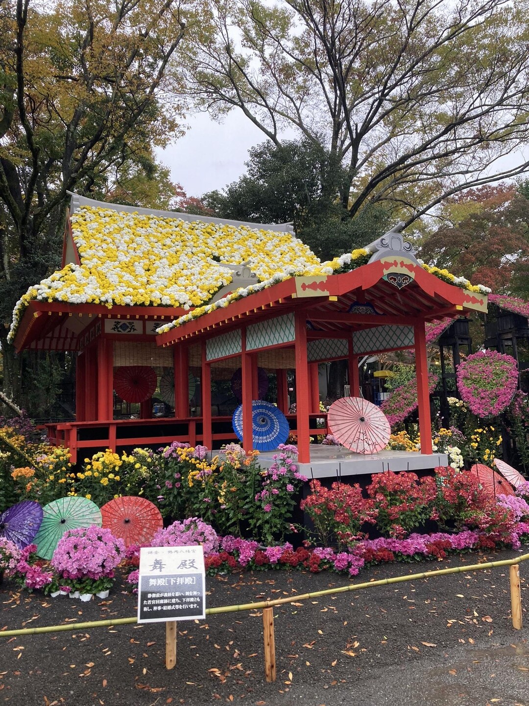 雨の日の三島さんぽ。 ☔️楽寿園へ菊まつ... / ふぁん太G3さんのモーメント | YAMAP / ヤマップ