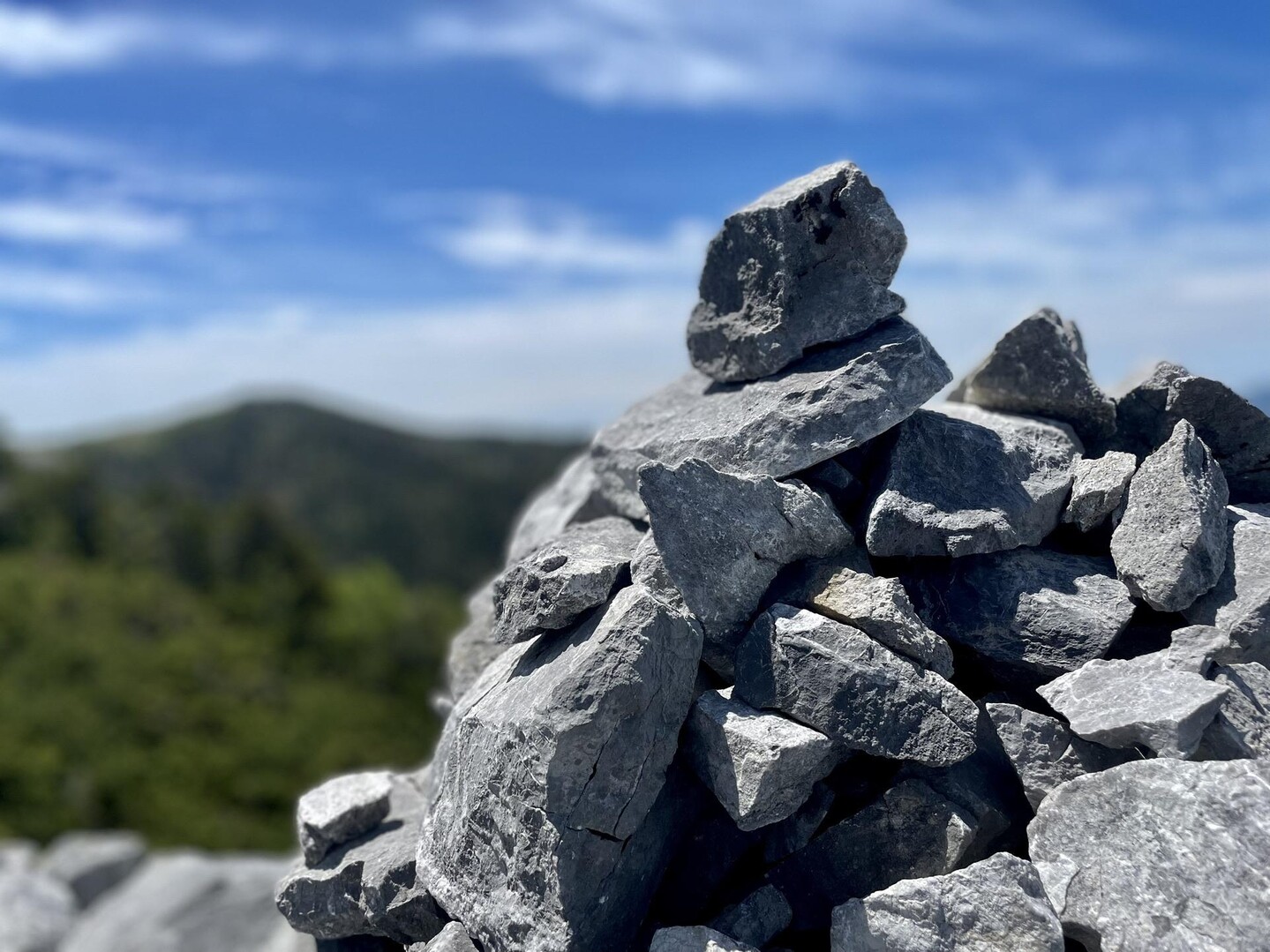 光岳ピストンに仁田岳寄り道のオマケ付き（もちろん今回もインチキあり🚲） / Y45Uさんの聖岳・大沢岳・光岳の活動データ | YAMAP / ヤマップ