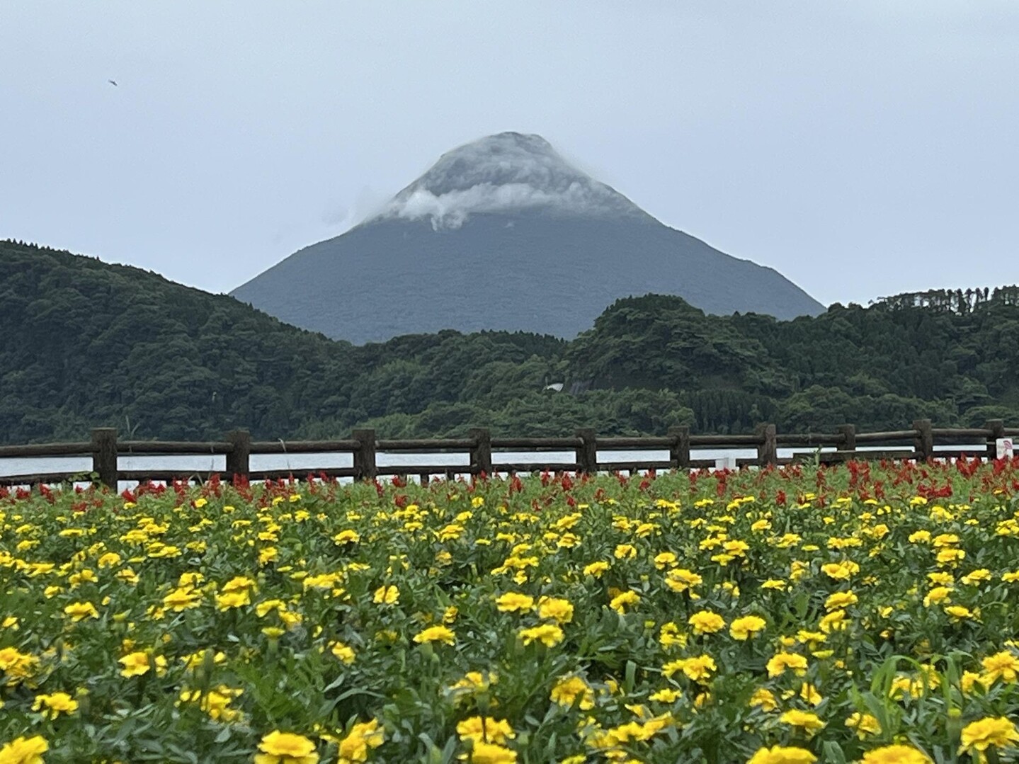 九州遠征 Part3 開聞岳 / さるさんの開聞岳の活動データ | YAMAP / ヤマップ