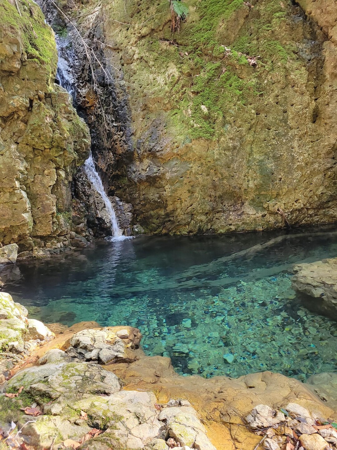白滝山 / Kyonkyonさんの白滝山・天井ヶ岳の活動データ | YAMAP / ヤマップ