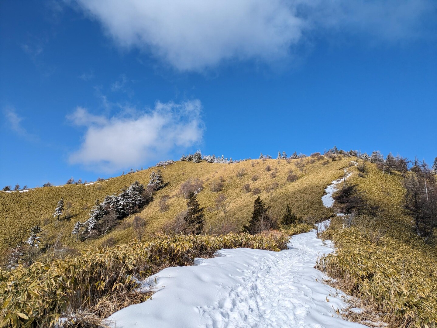 R5年度 南信飯田ありがとうございました🙇 / たかかさんの大川入山・横岳の活動データ | YAMAP / ヤマップ