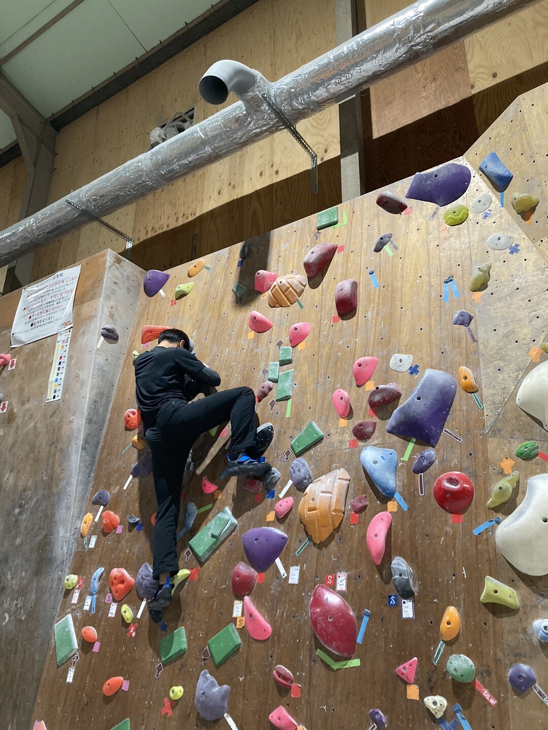 マイシューズデビュー 多分気のせいだけ... / yutaさんのモーメント | YAMAP / ヤマップ