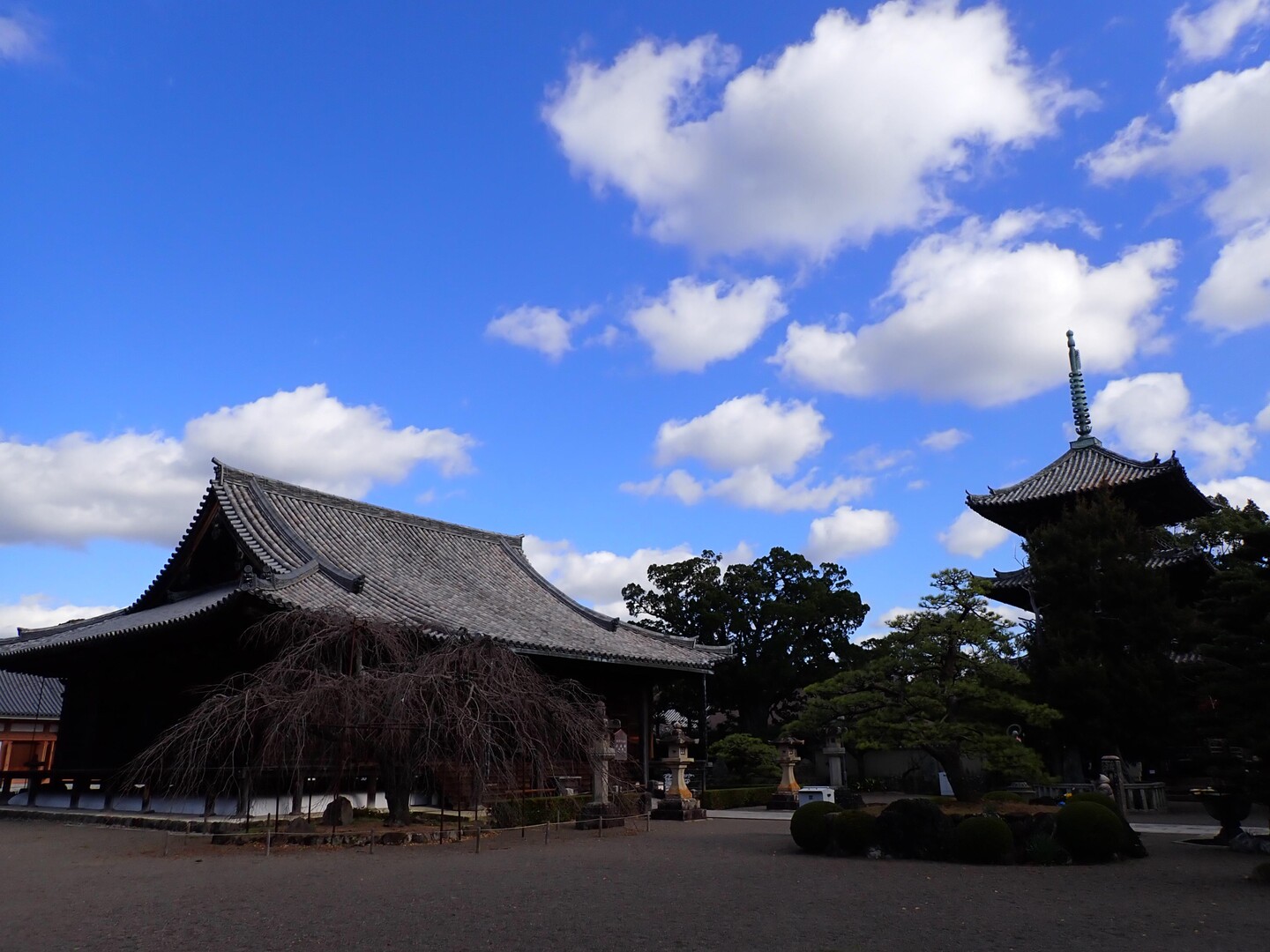 和歌山観光ツアー / kol-hiraさんの和歌山市の活動データ | YAMAP / ヤマップ