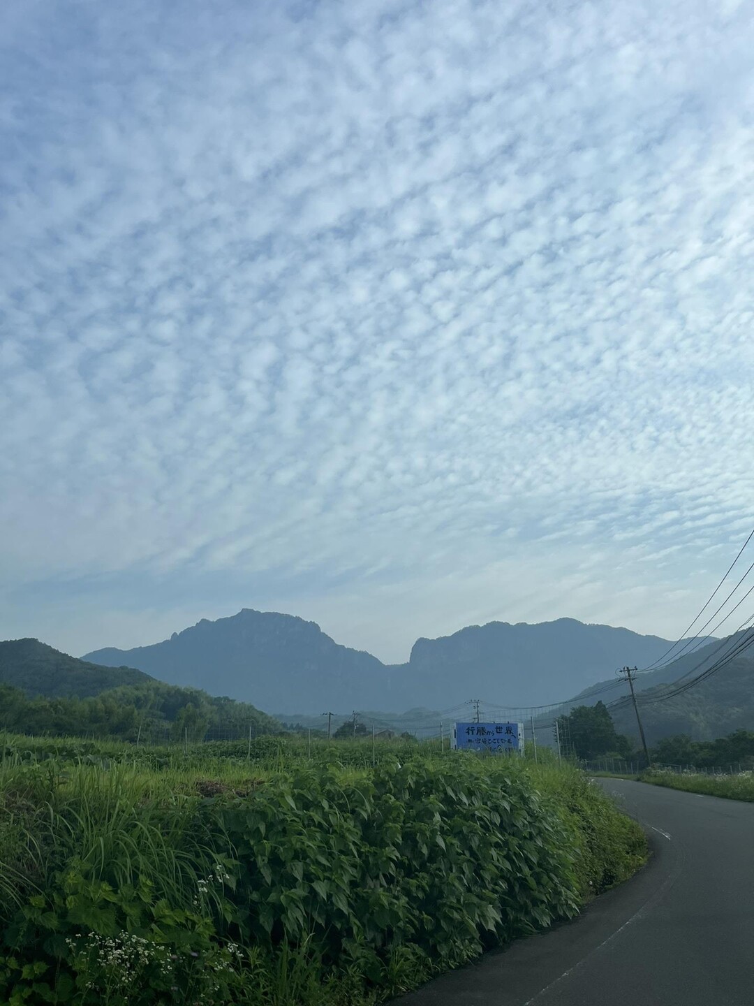 行縢山-2023-06-17 / TONさんの行縢山の活動データ | YAMAP / ヤマップ