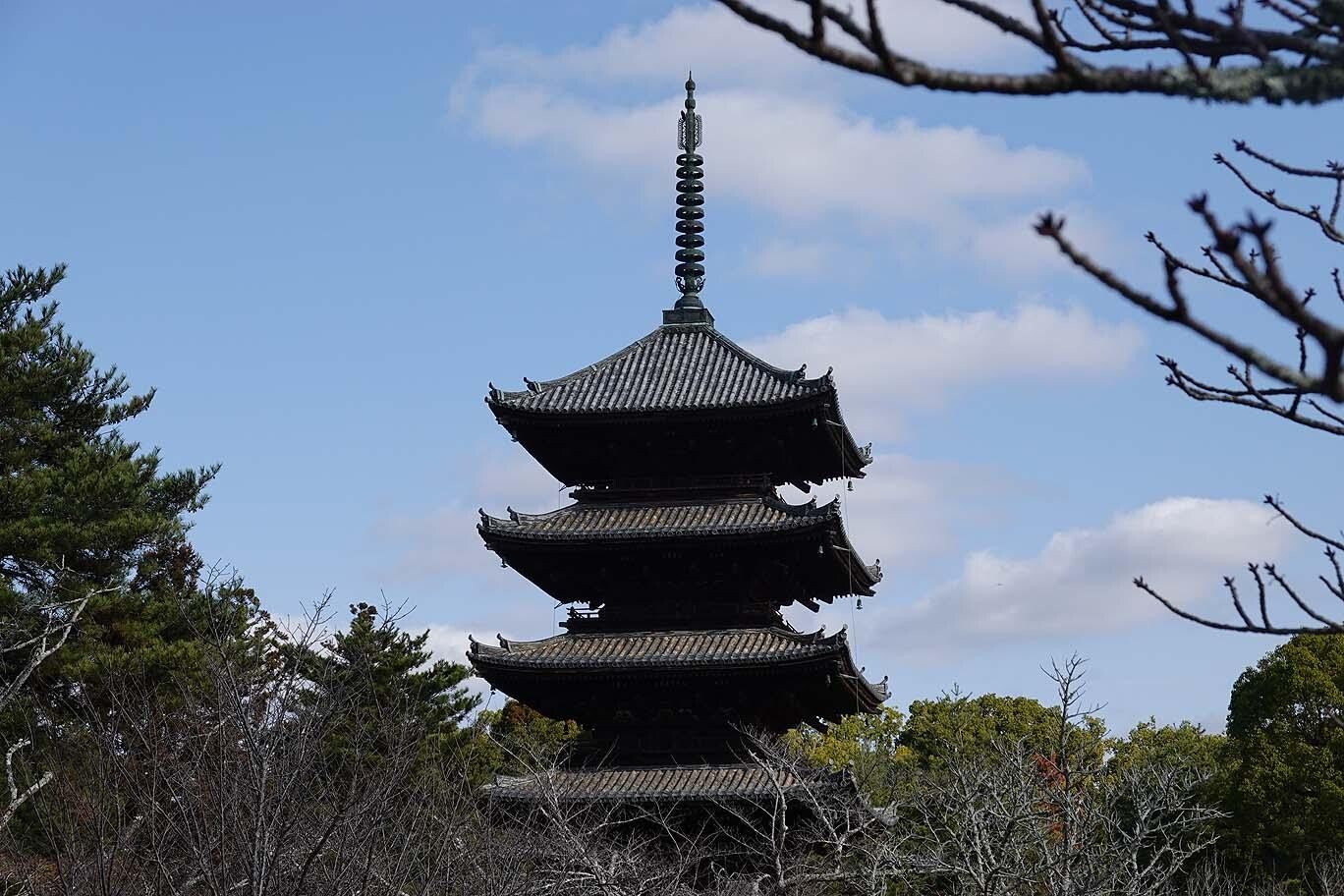 002成就山88ヶ所（3・4）順逆 / 青安平さんの京都一周トレイルの活動データ | YAMAP / ヤマップ