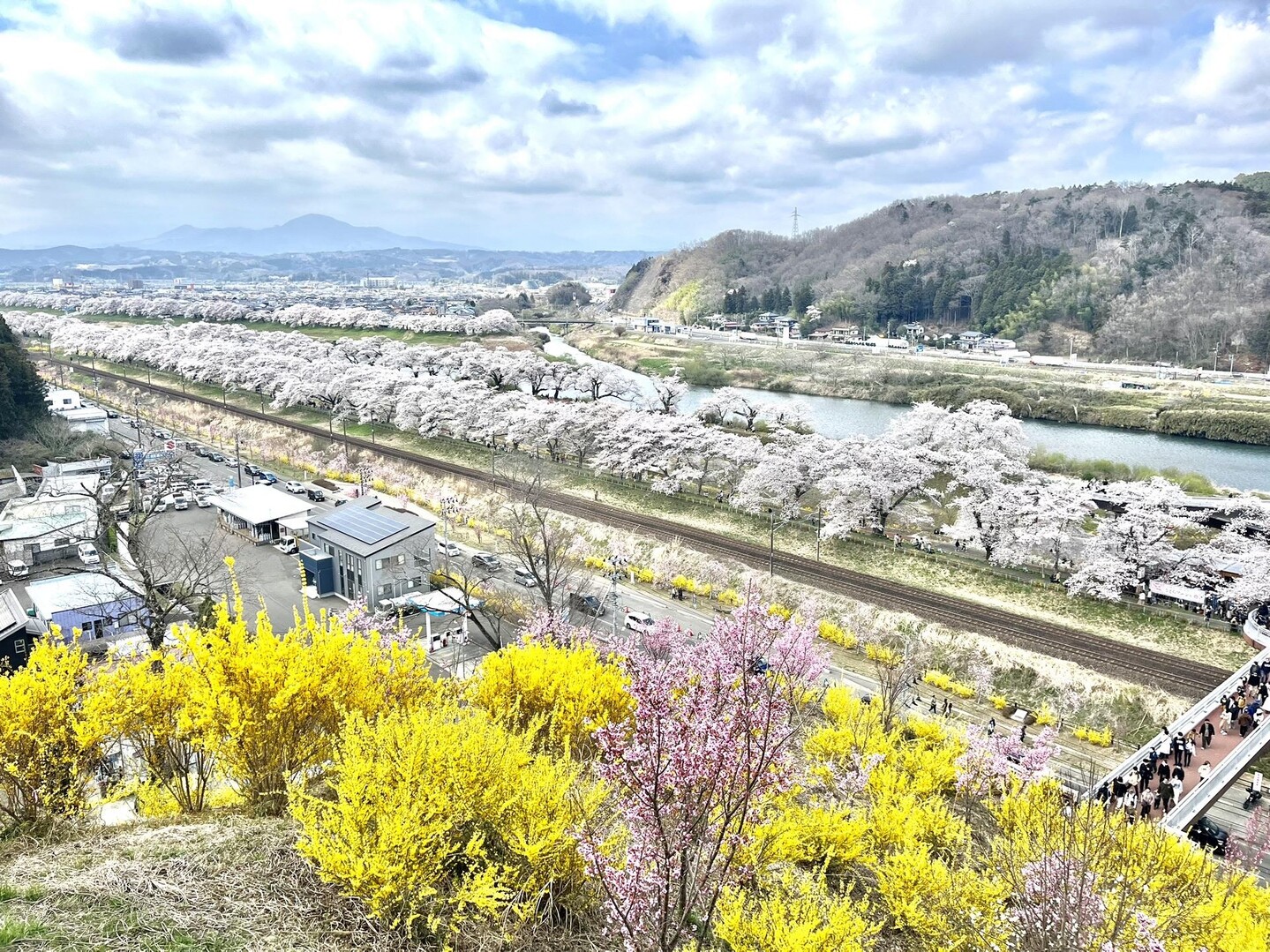 宮城県柴田町の一目千本桜満開でした🌸 ... / zumiさんのモーメント | YAMAP / ヤマップ