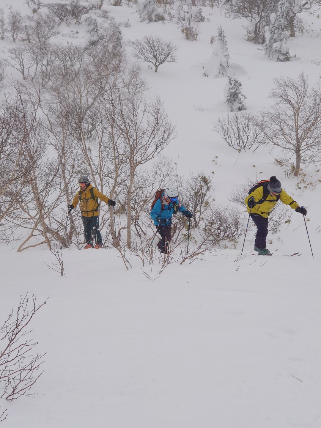 犬倉山BC / R.Chibaさんの岩手山・黒倉山・鞍掛山の活動データ | YAMAP / ヤマップ