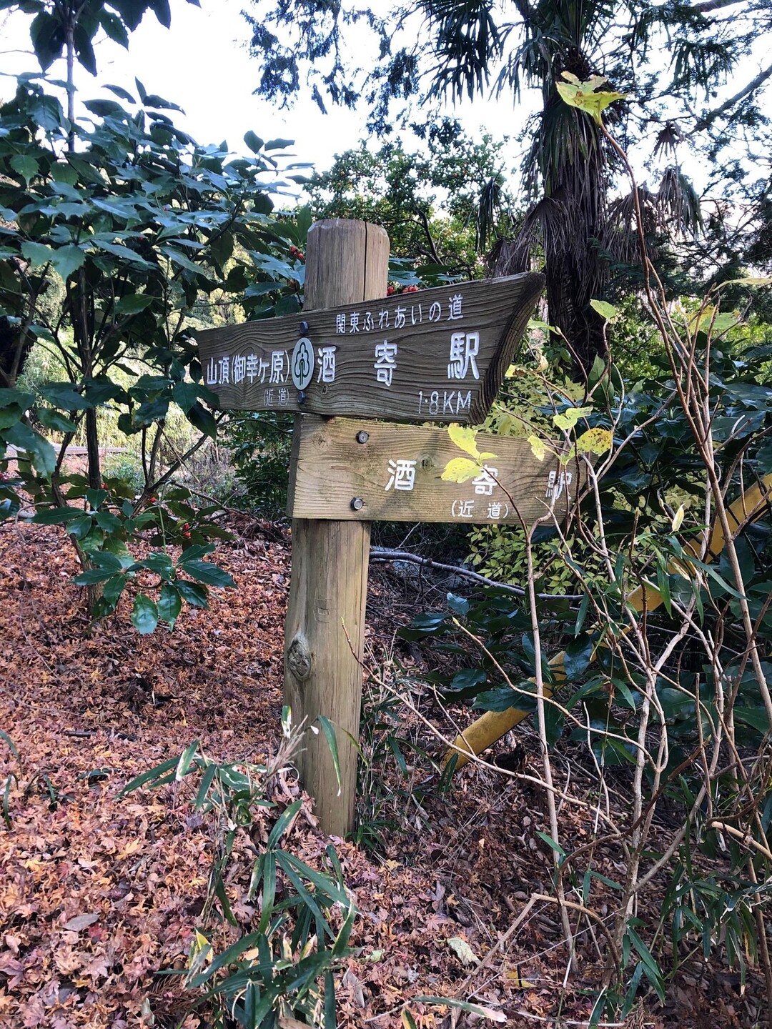 Ko-seさんの投稿したフィールドメモ | YAMAP / ヤマップ