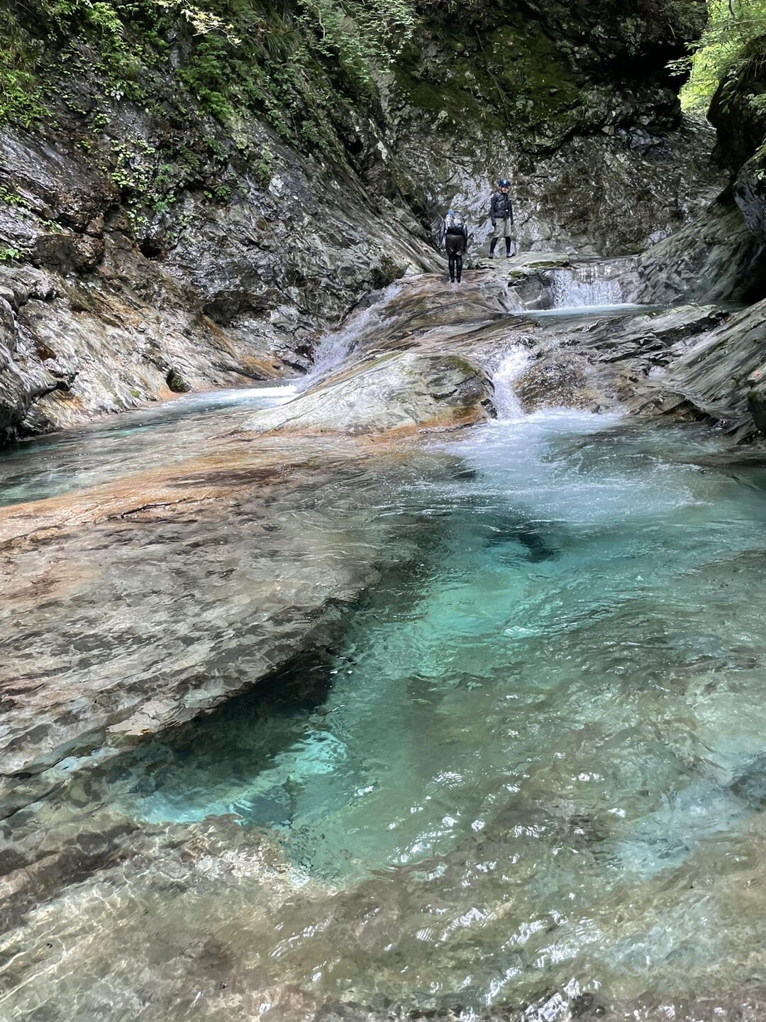 神童子谷は様子が変わってた 6/25 / Andyさんのウォーキングの活動データ | YAMAP / ヤマップ