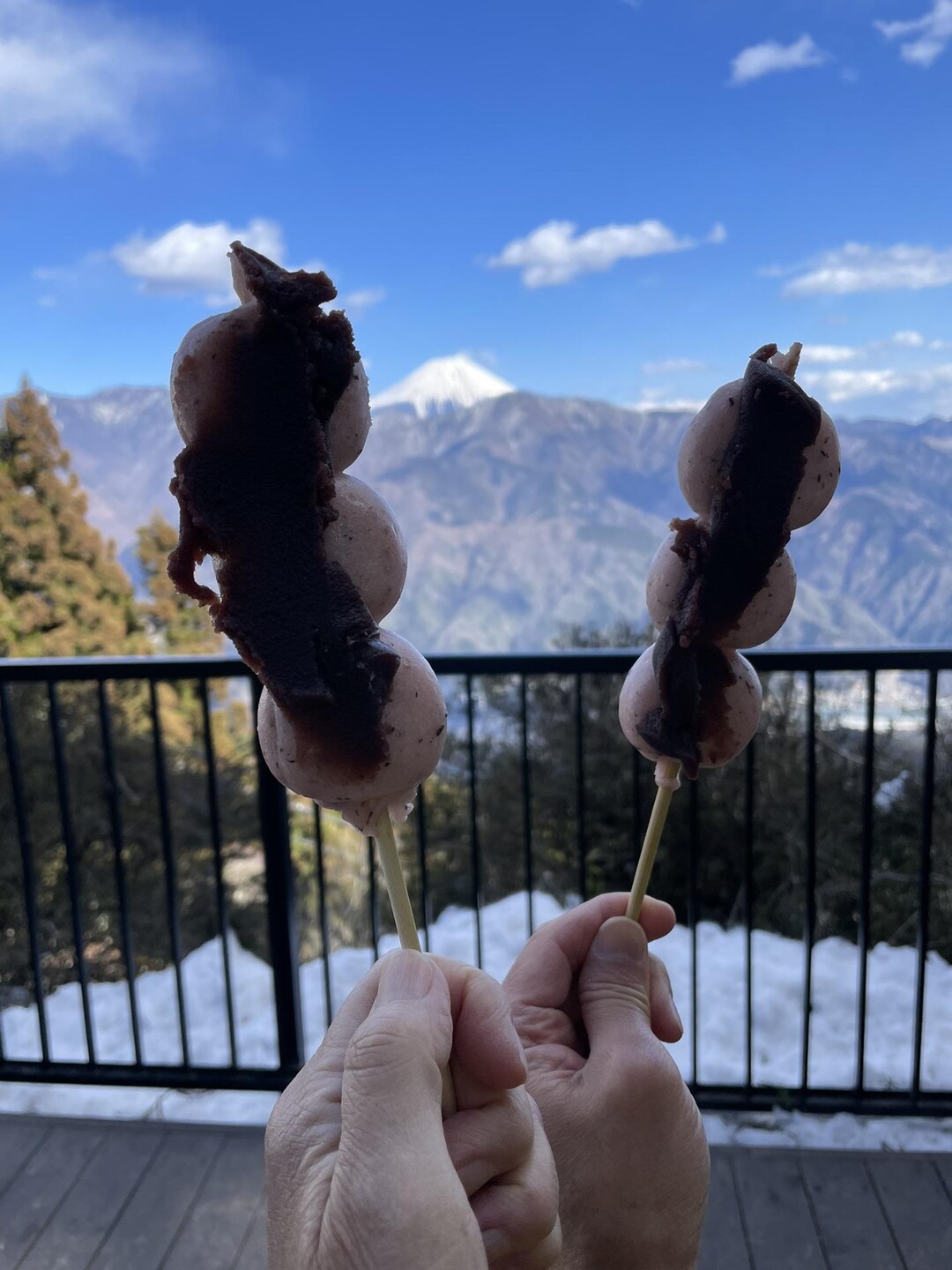 暴風から逃げました🌀身延山 / mocaさんの七面山・身延山の活動データ | YAMAP / ヤマップ