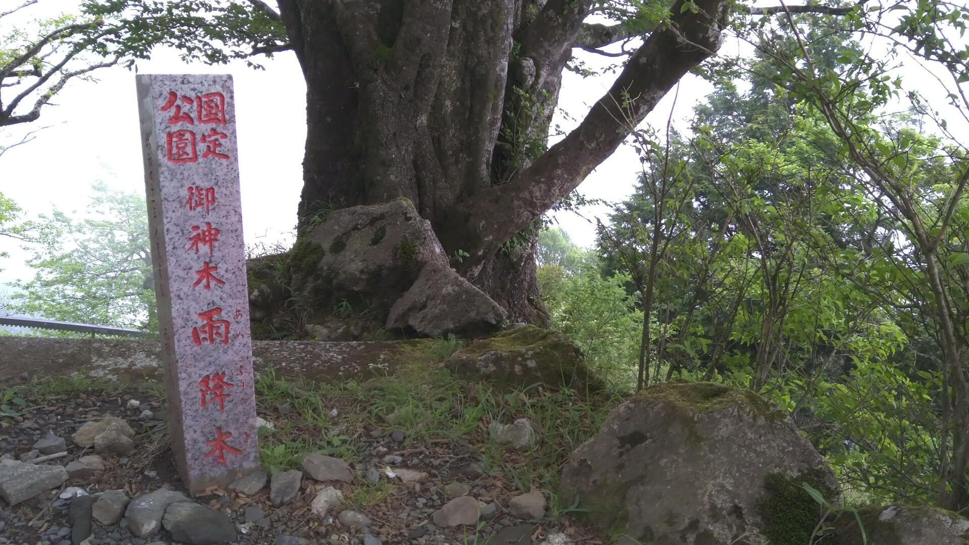 大山 / papa_703さんの大山の活動データ | YAMAP / ヤマップ