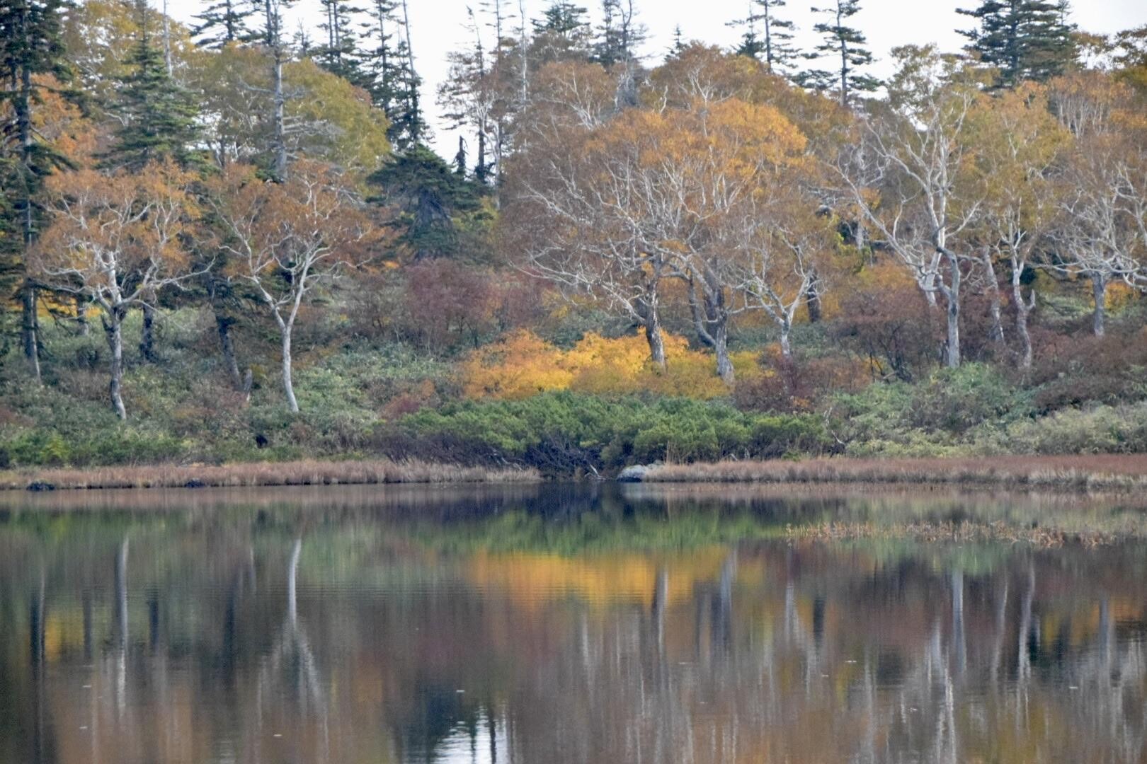 ニセコで早朝から遊ぶ / minotさんのニセコアンヌプリ・イワオヌプリ・チセヌプリの活動データ | YAMAP / ヤマップ