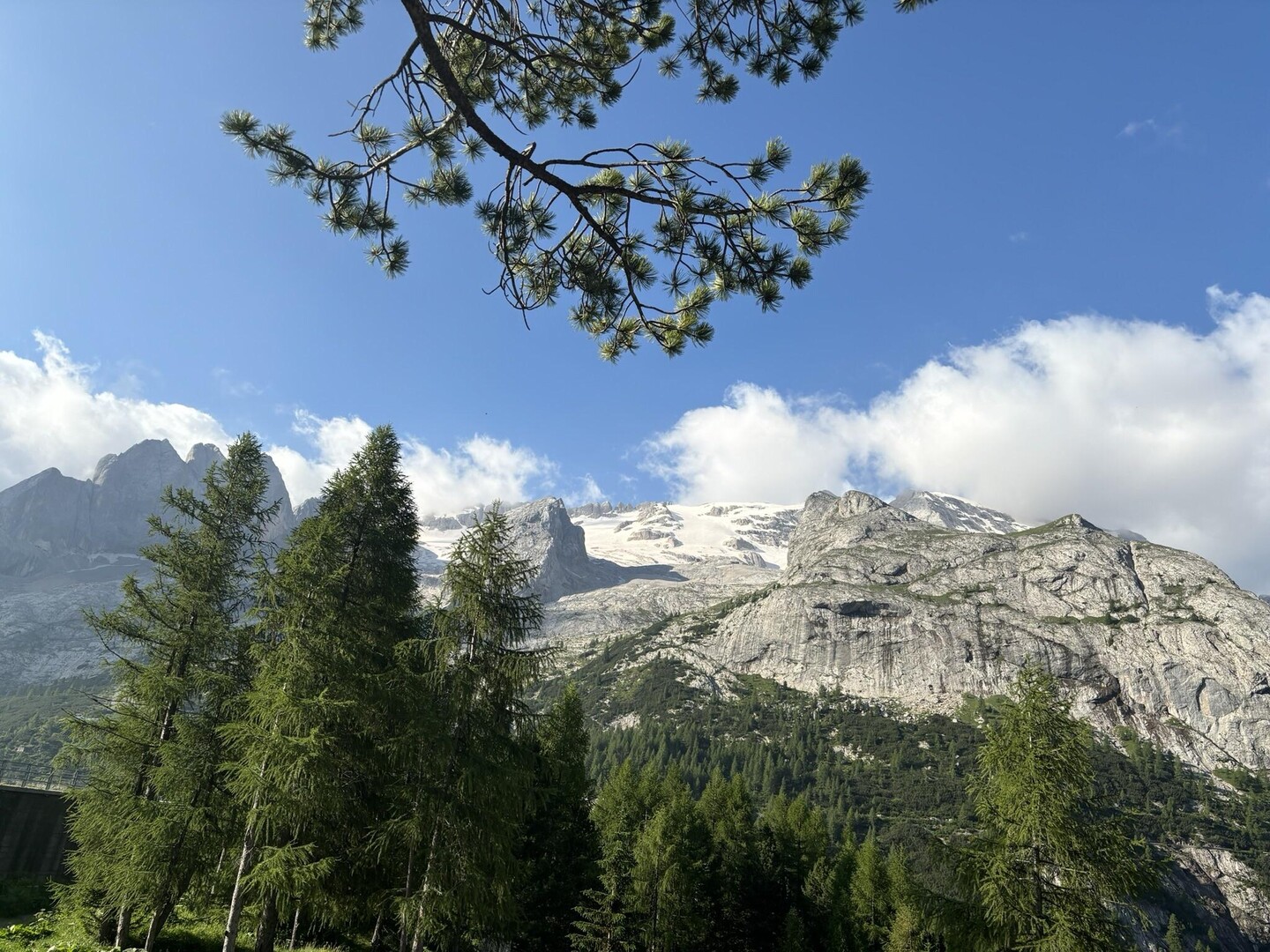 マルモラーダ-2024-07-14 / Erikaさんのポッツァ・ディ・ファッサの活動データ | YAMAP / ヤマップ